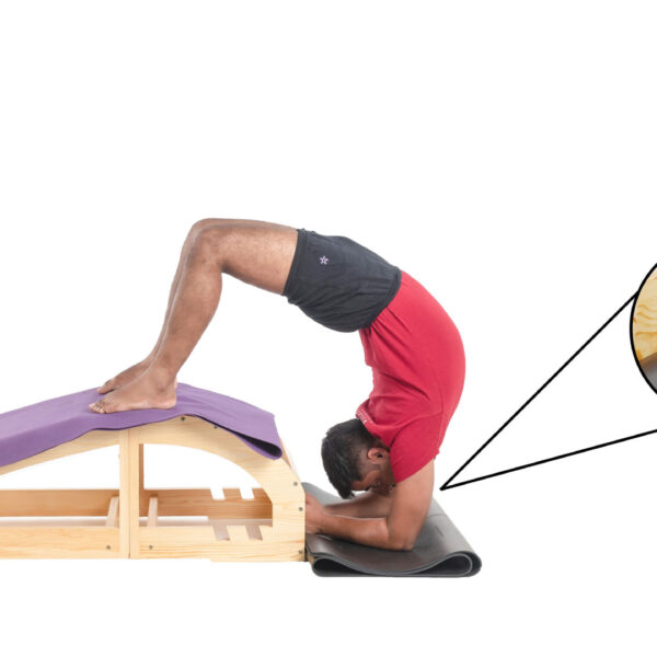 Yogikuti Viparita Dandasana Bench (Large Backbender) - Yogikuti